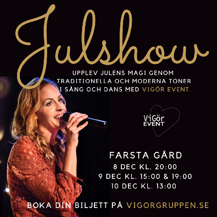 - Julshow :: ViGör